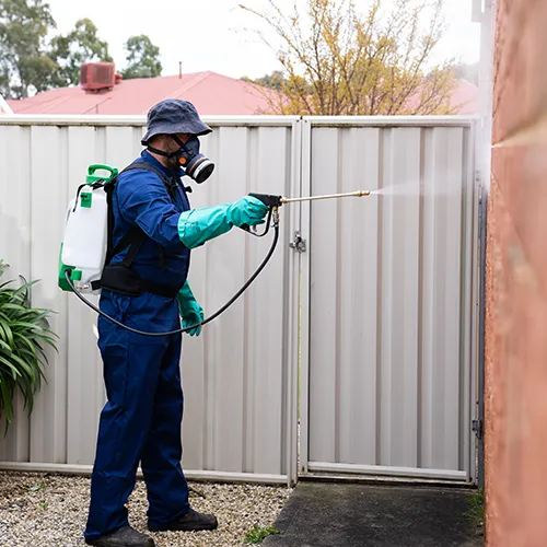 Ready Set Spray - Sydney's #1 Pest Control | Book Online